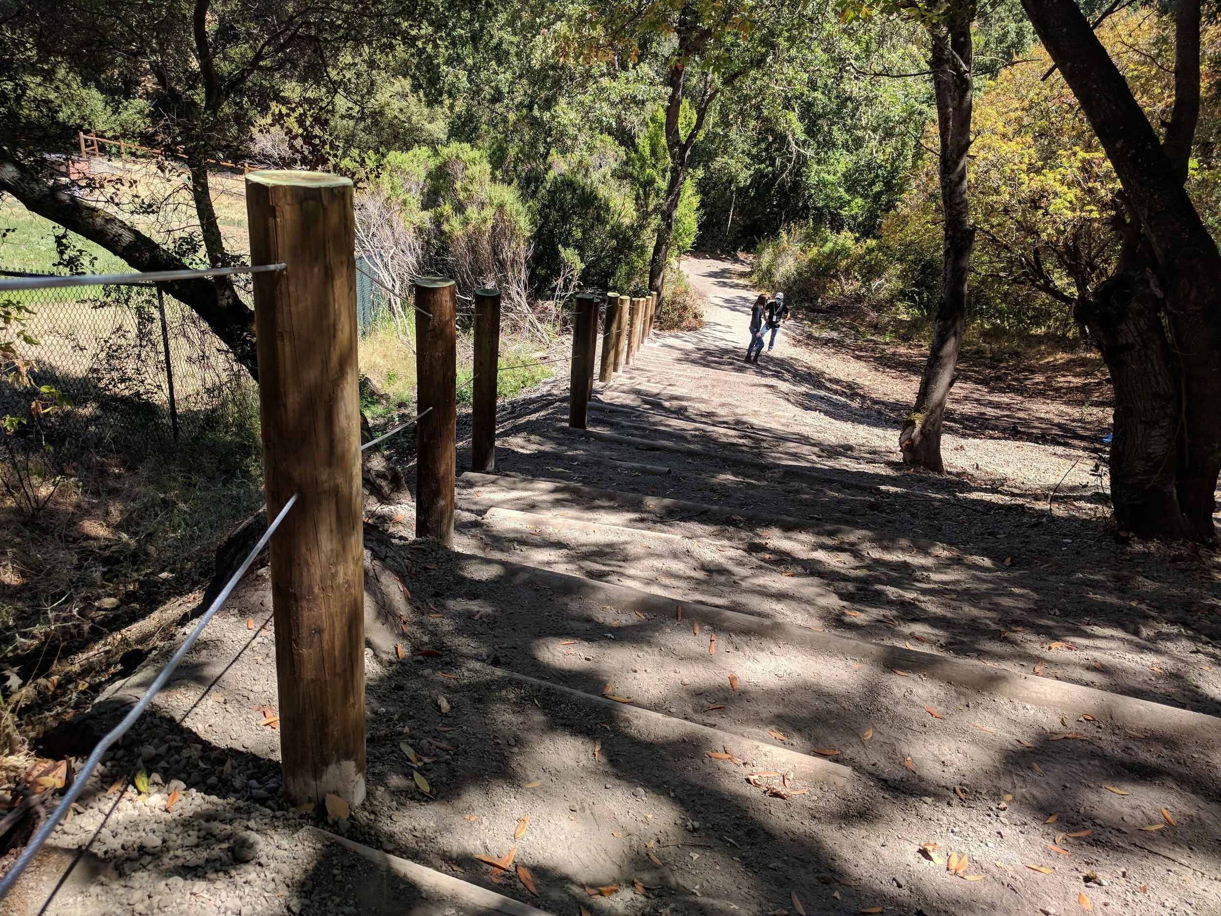 Zander Westbrook Design