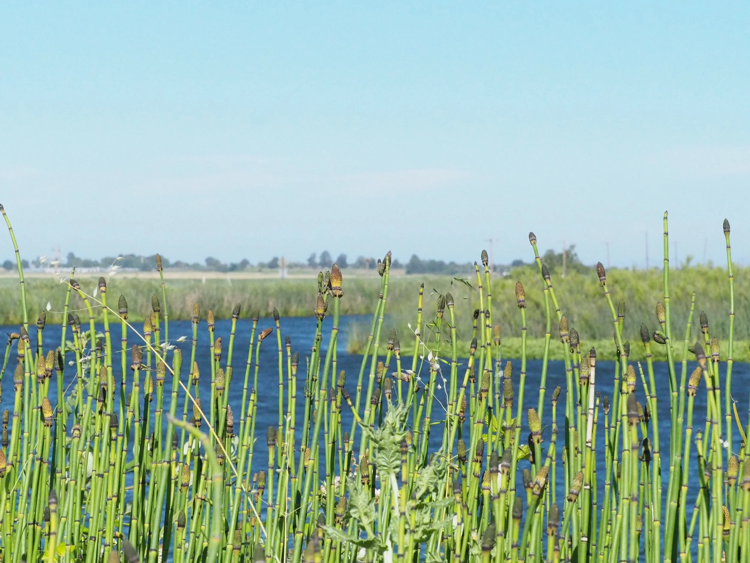 Zander Westbrook Design