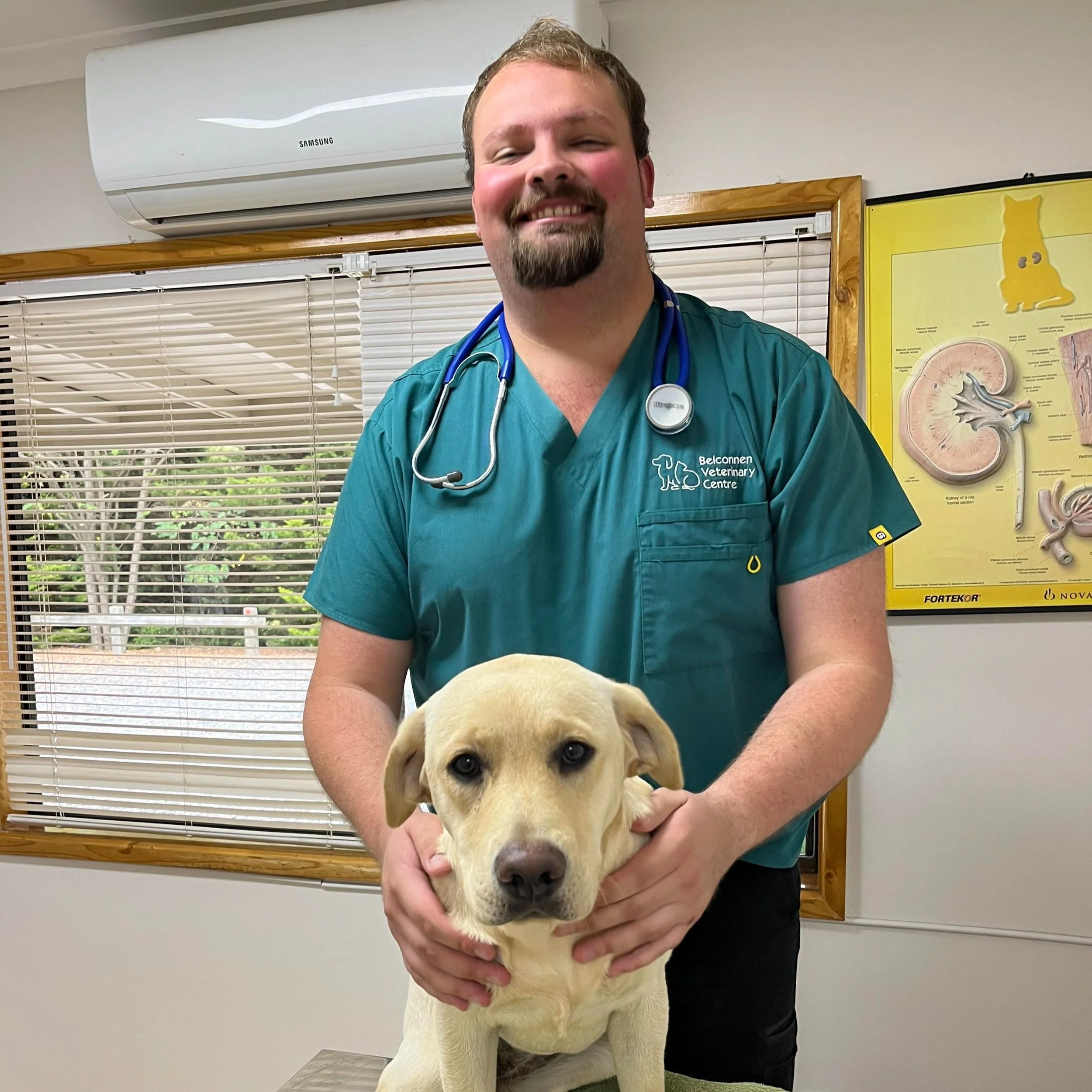 Our Vets & Services — Belconnen Veterinary Centre