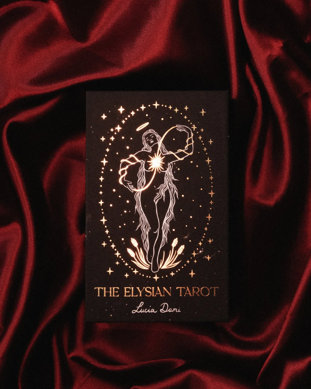 Store 2 — LUCIA DAMI