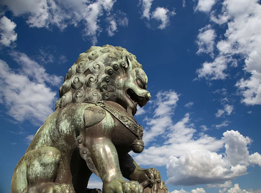 Case Studies — Zenzero