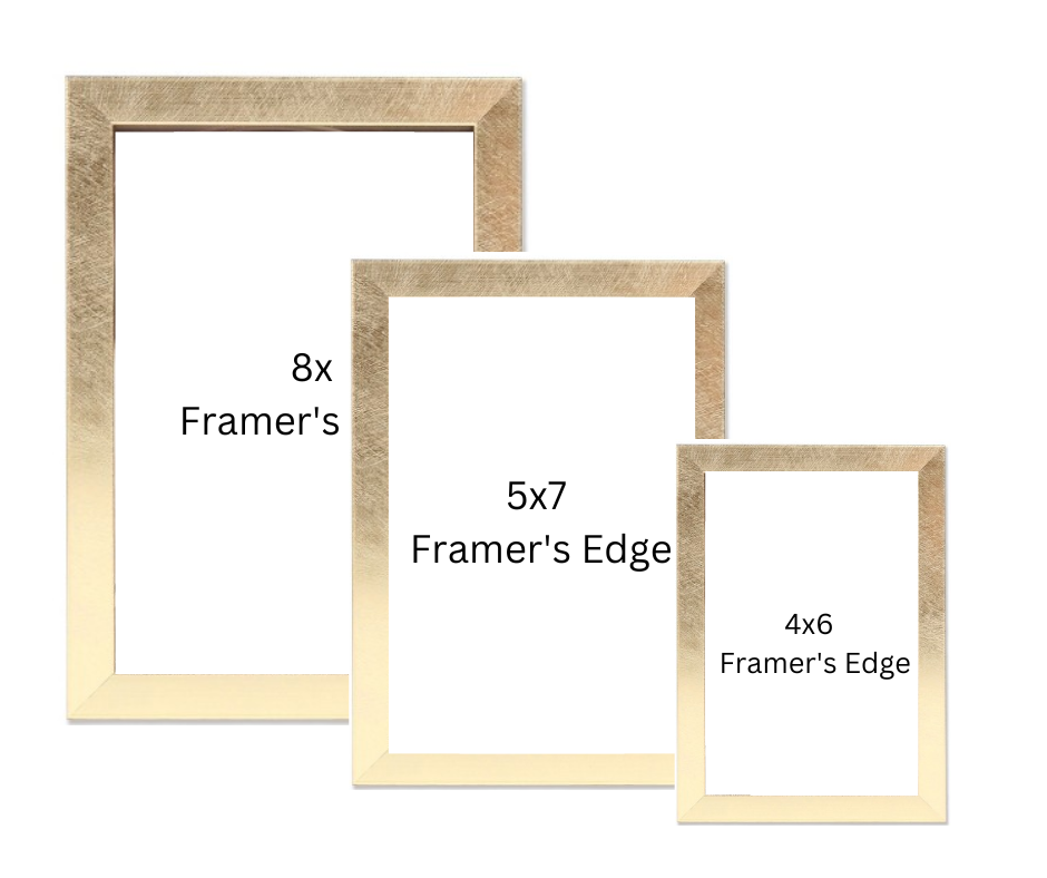 Frames — Store — Framer's Edge