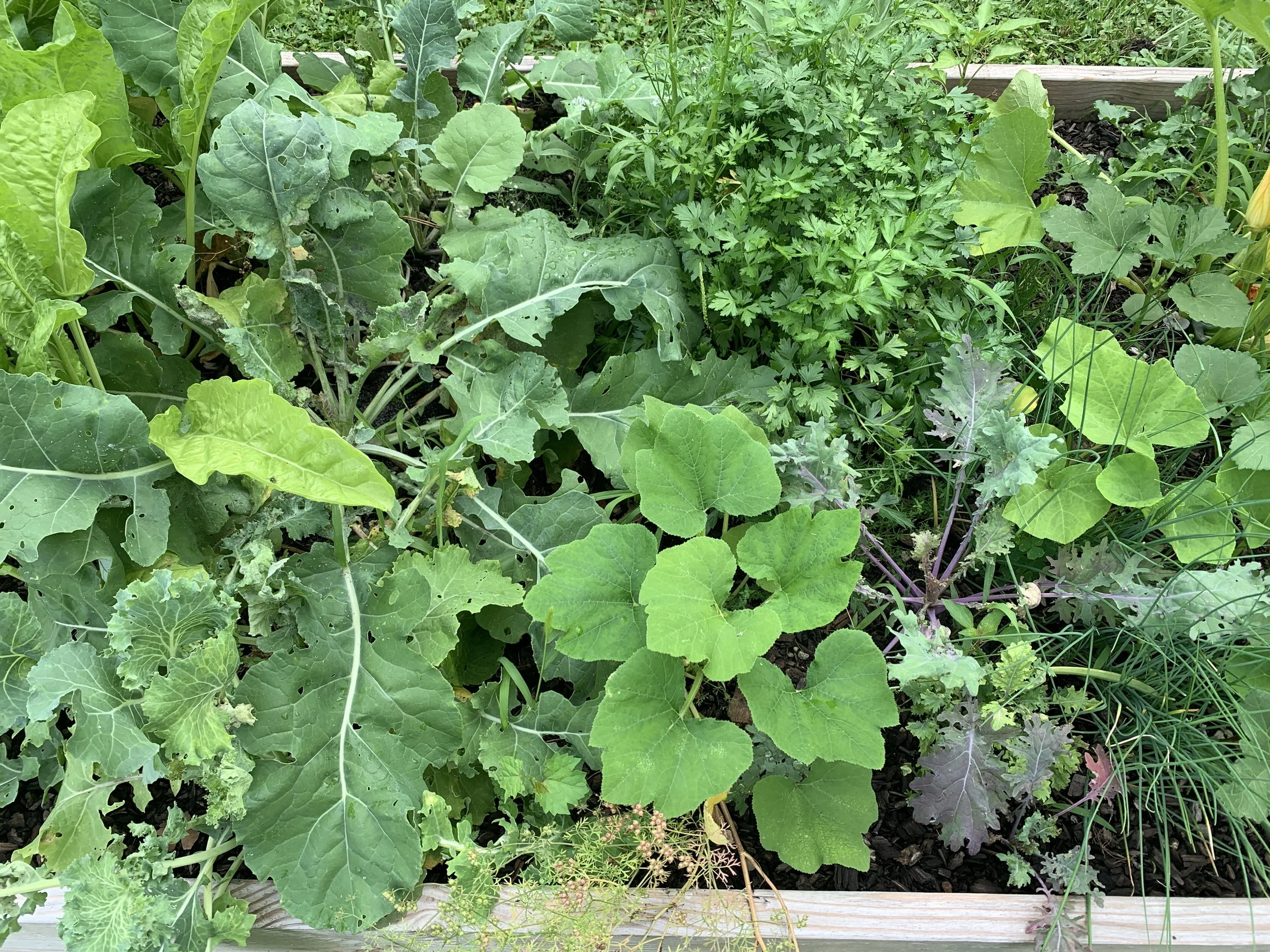 Garden Maintenance — Detroit Garden & Compost