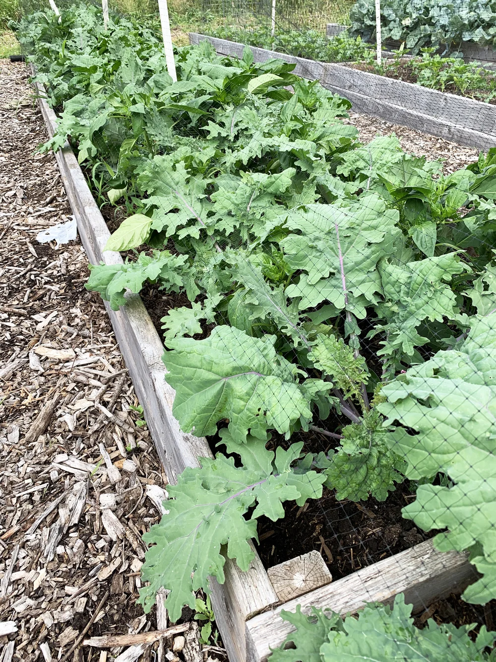 Need Help? — Garden of Health Inc.