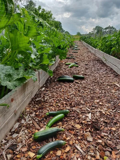 Hatfield Farm — Garden of Health Inc.