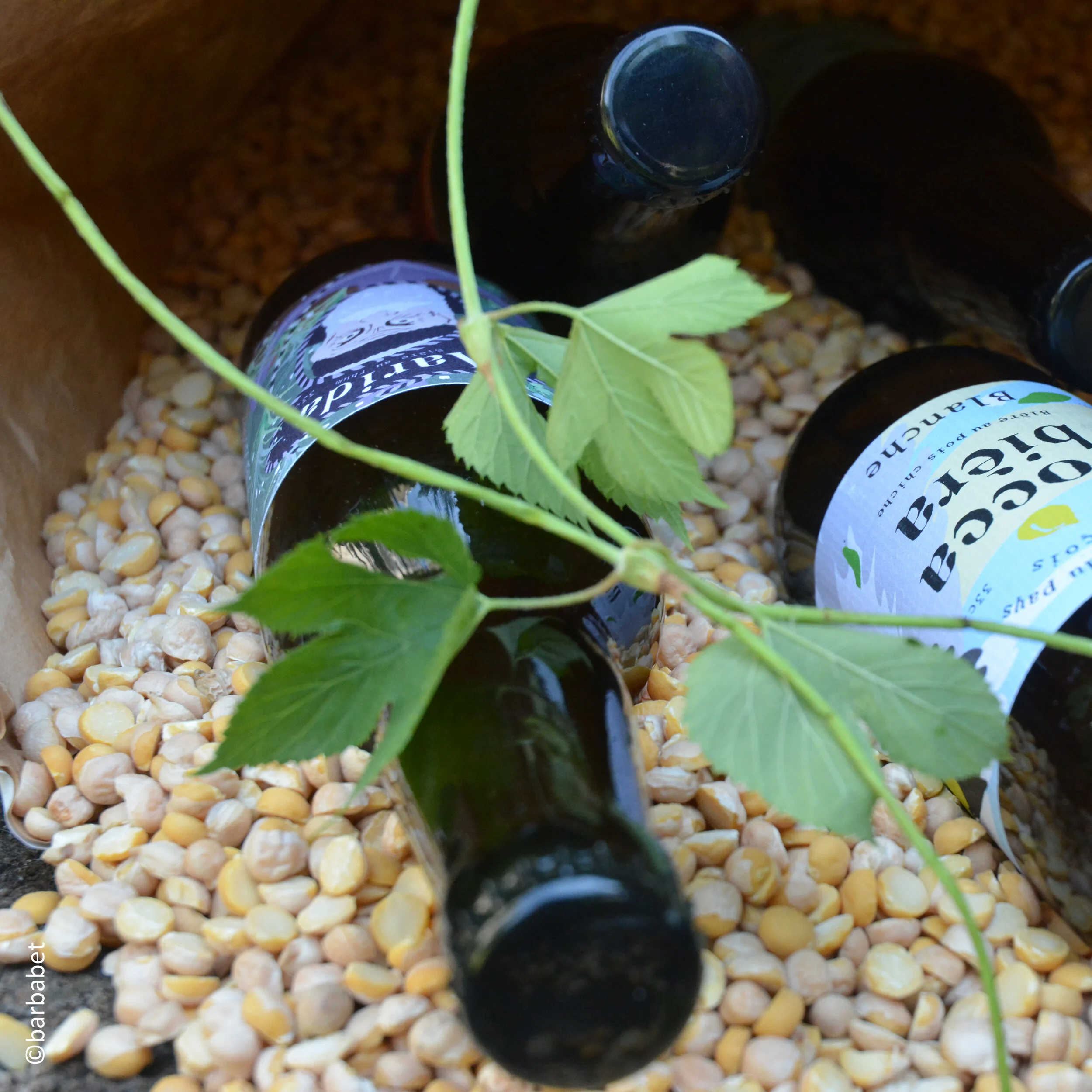 Socca Bièra - Accueil