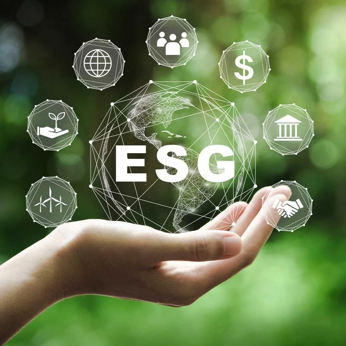 Impact Collective Group | ESG Solutions
