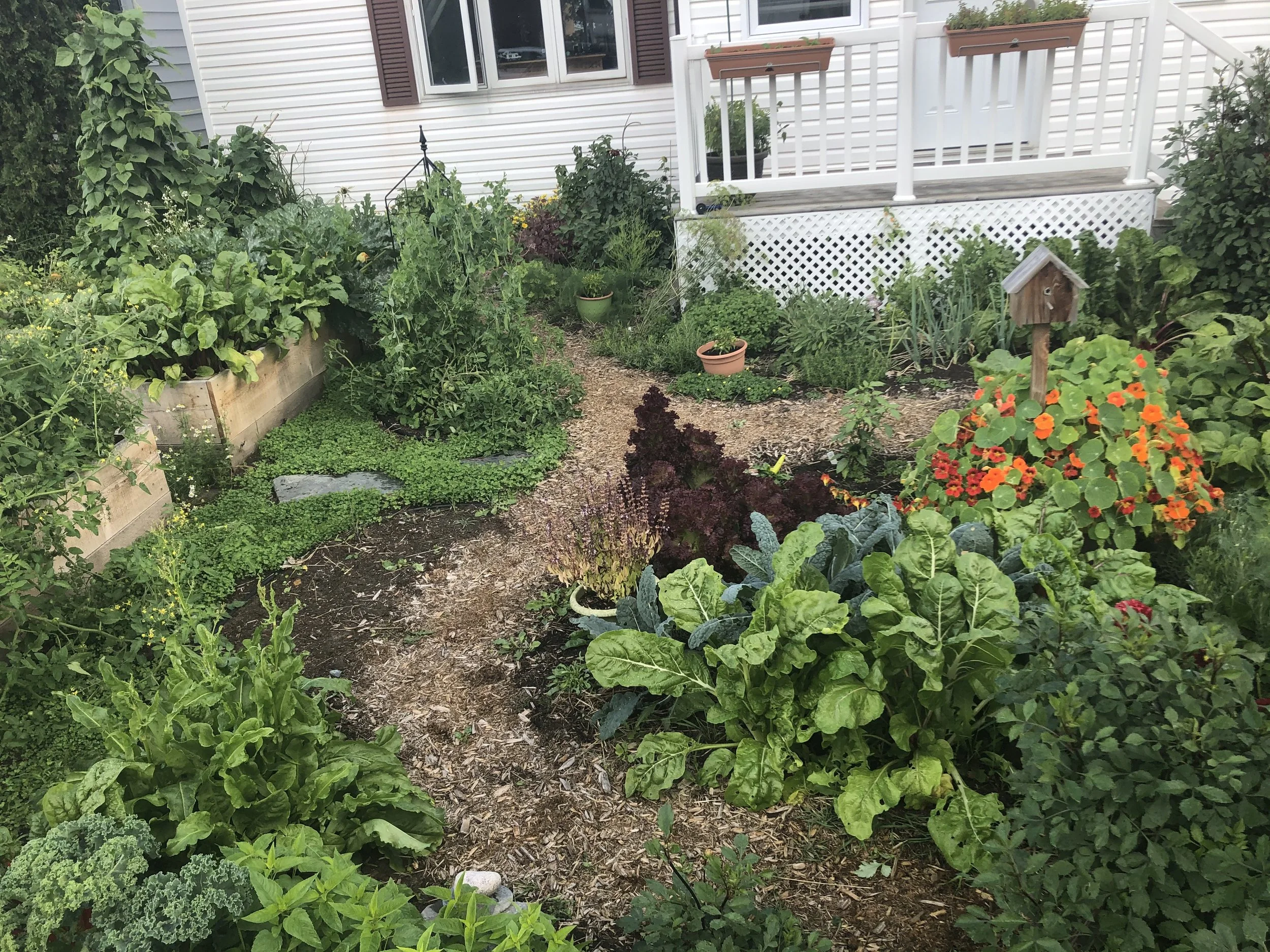 Urban Edible Landscape — Northbound Bloom