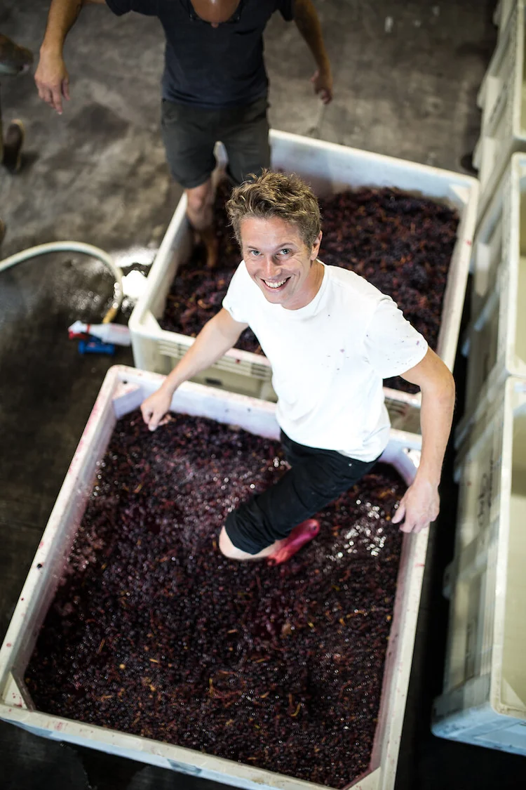 Winemaking — Pax Winery & Tasting Room