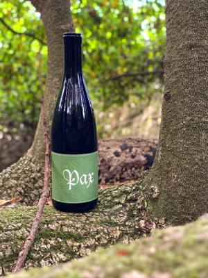 Pax Wines | Winery & Tasting Room in Sebastopol