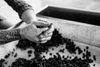 Pax Wines | Winery & Tasting Room in Sebastopol