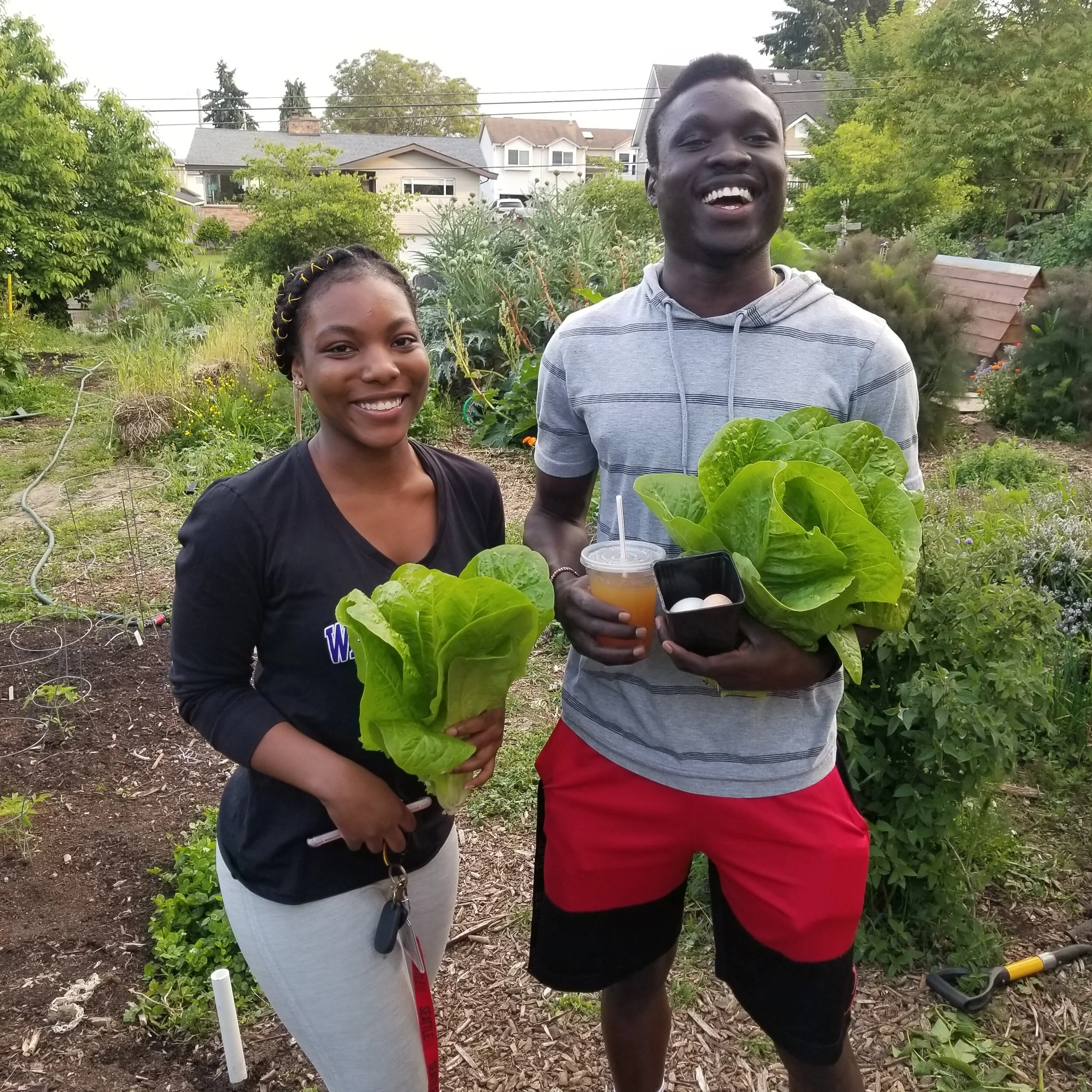 Gallery — Nurturing Roots