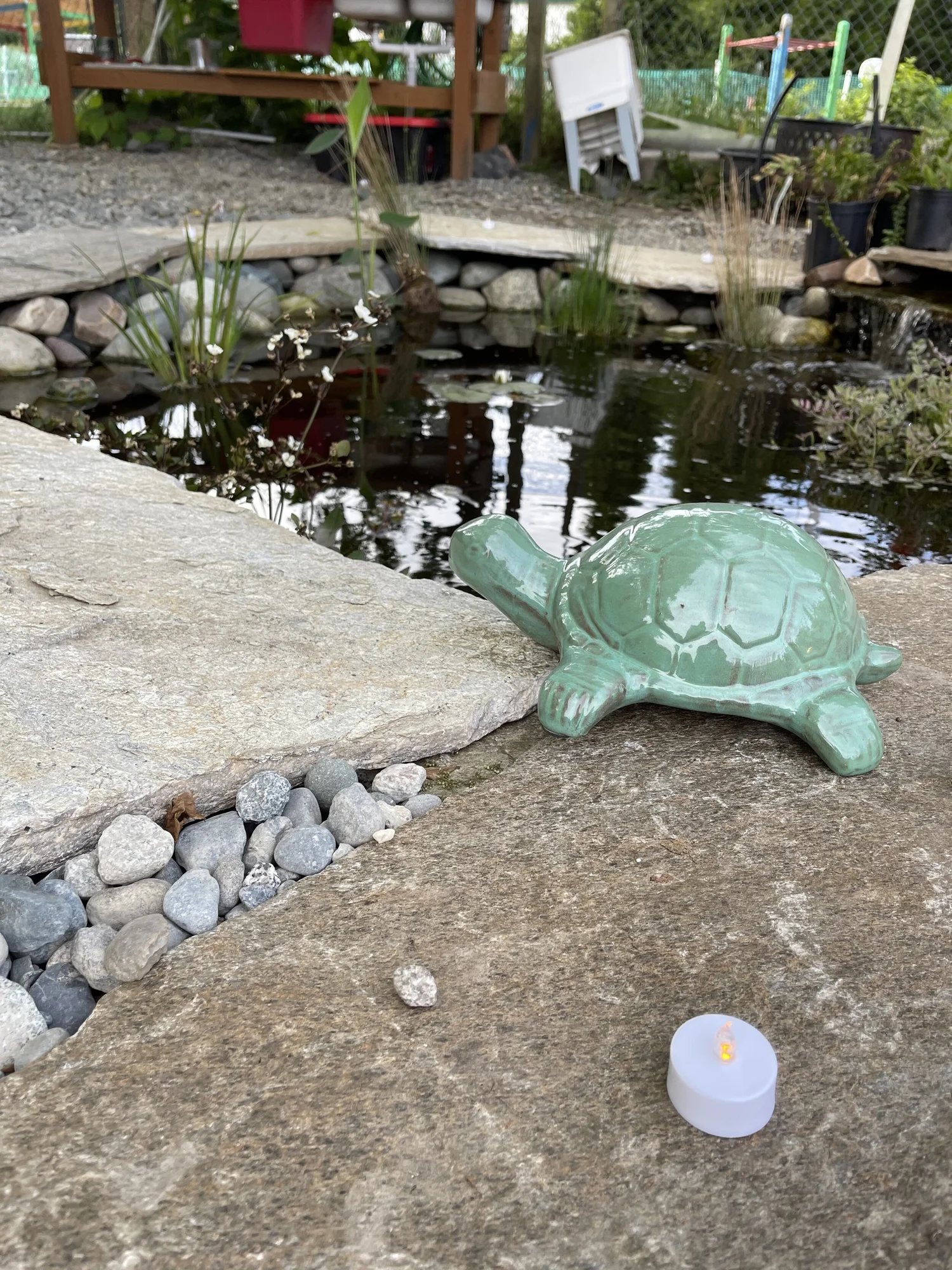 General 1 — Nurturing Roots