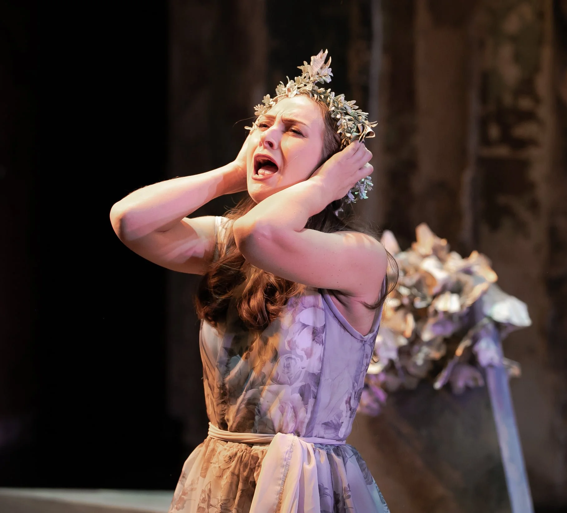 PRODUCTIONS — an opera theatre