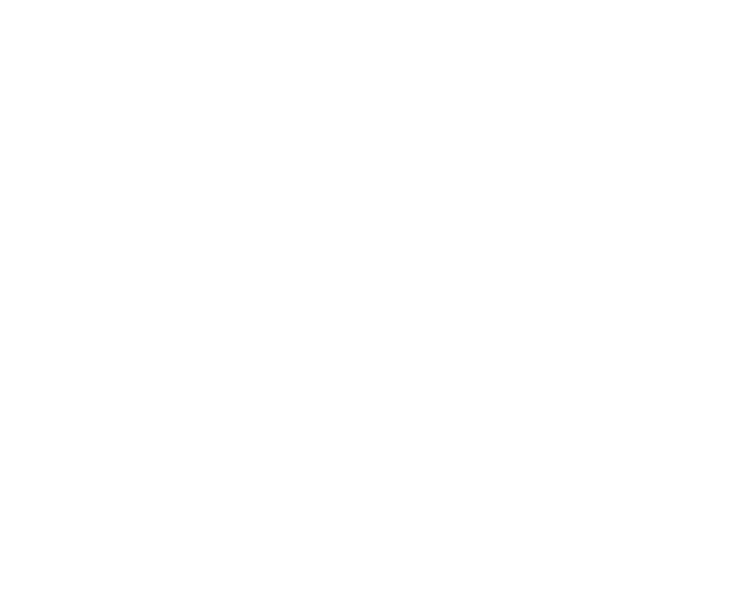 HOME — Dandelion