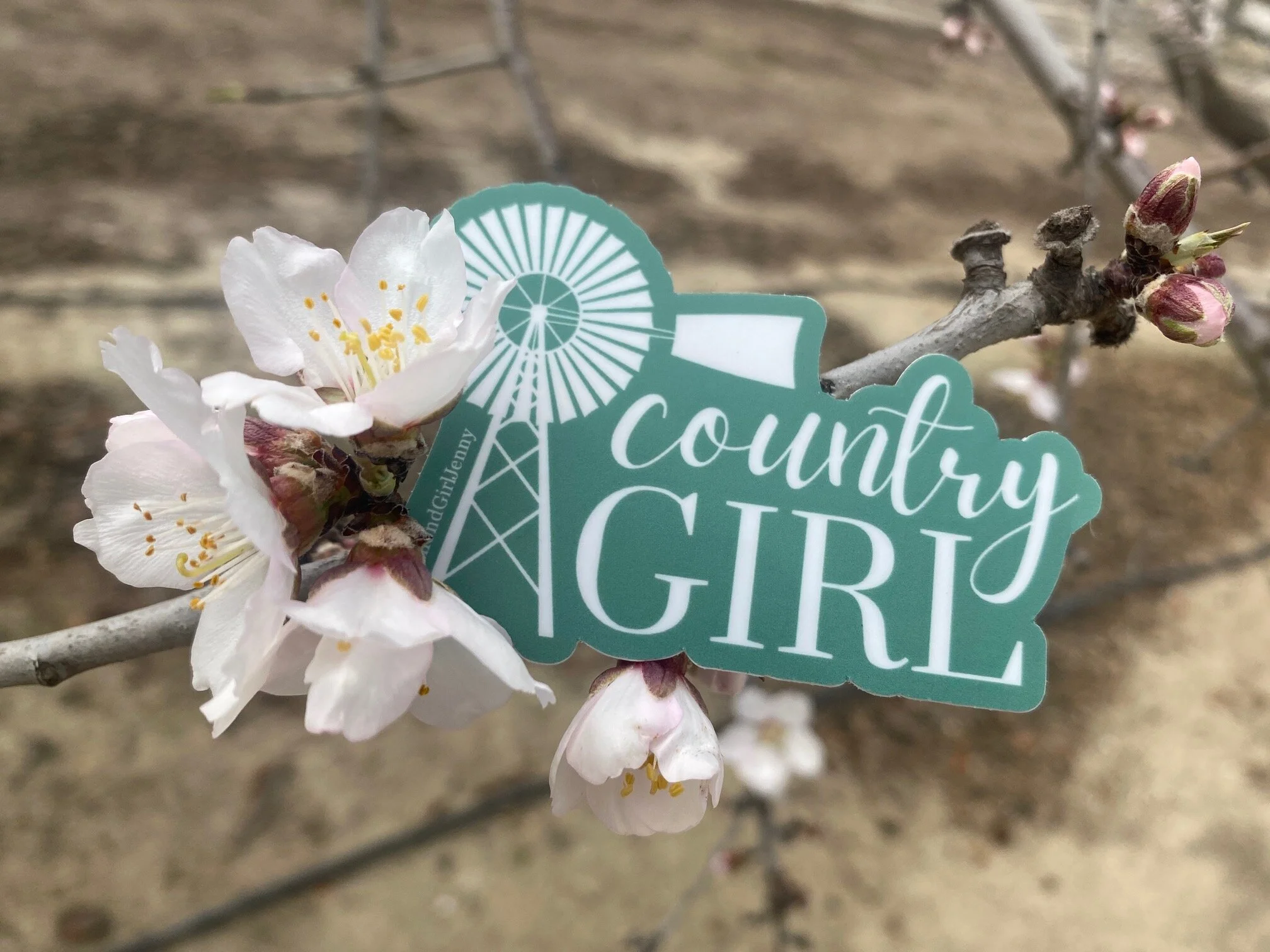 Country Girl Stickers