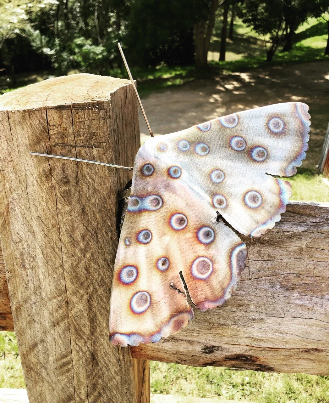 STEPHEN COBURN — Roadside Gallery