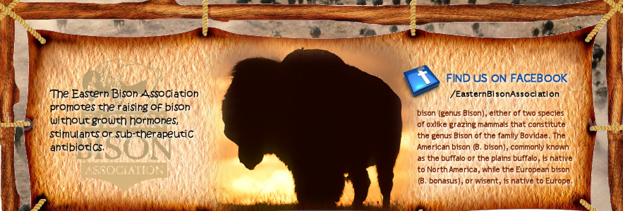 Eastern Bison Association