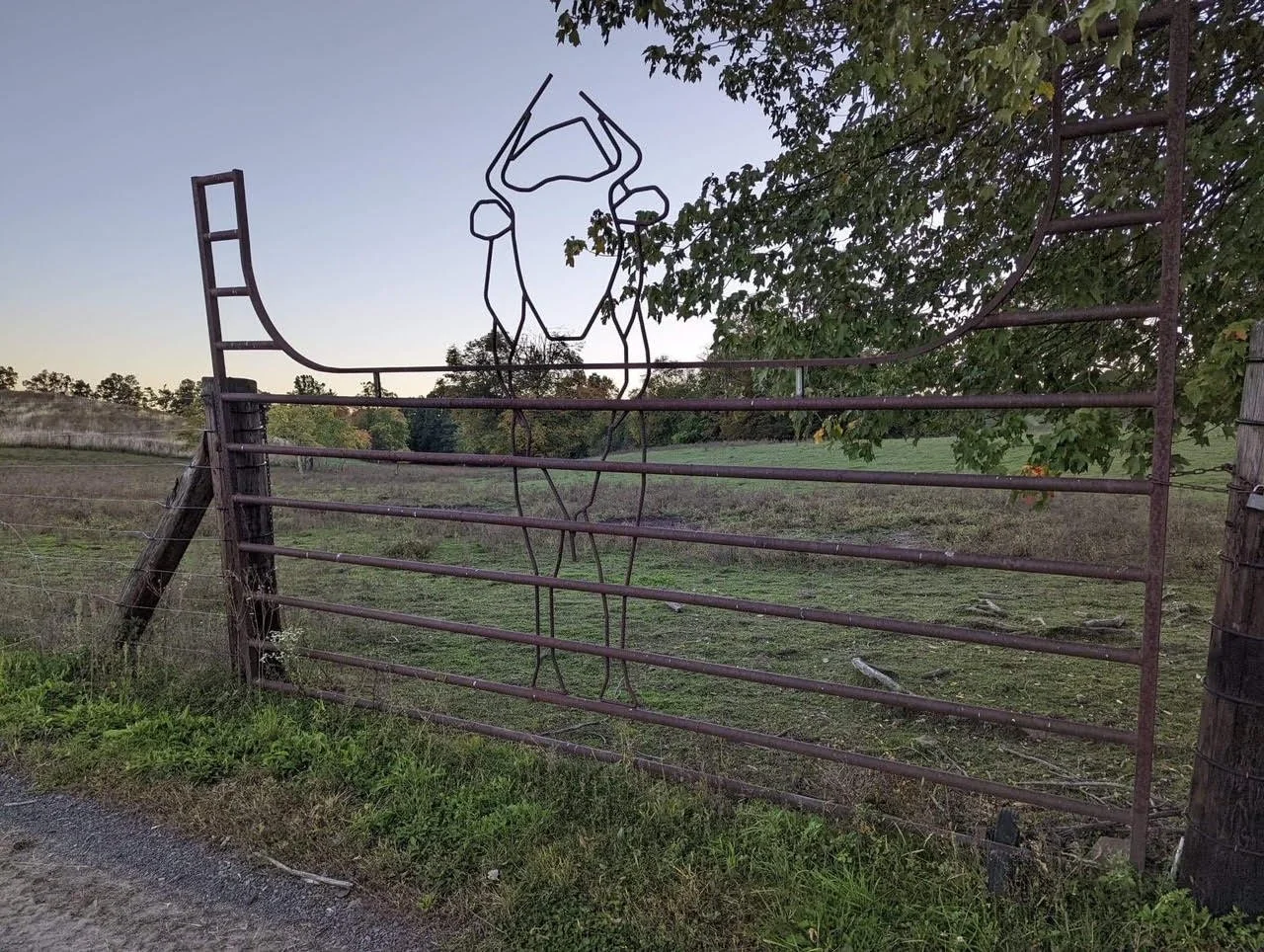 Classified — Eastern Bison Association