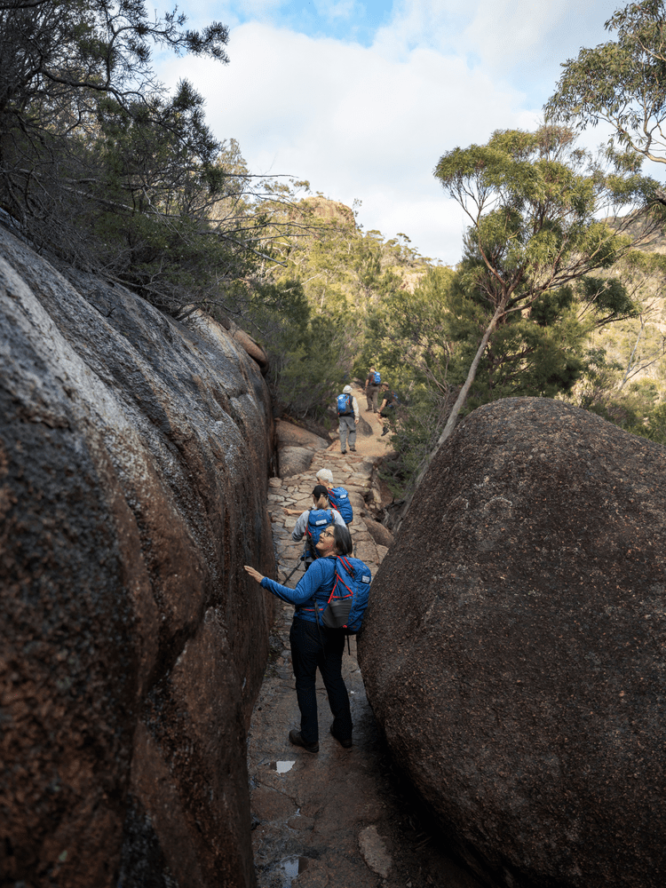 Freycinet Walking Tour — Immersive Small Group Day Tour