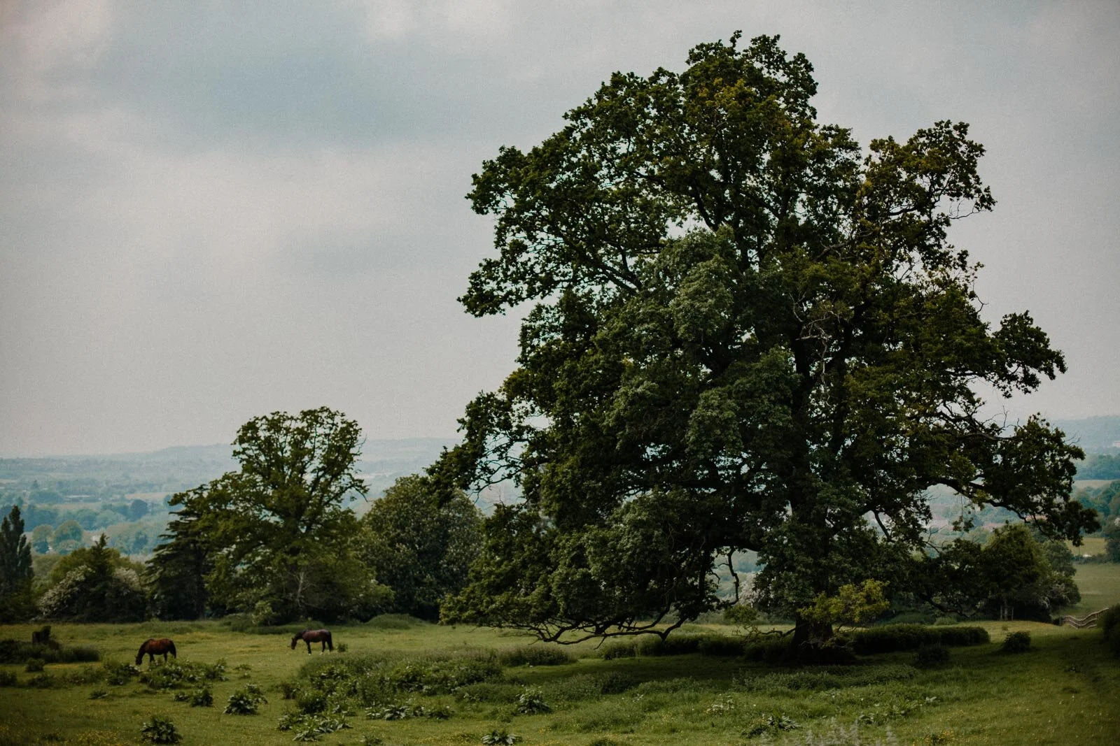 Manor Farm, Upton Cheyney