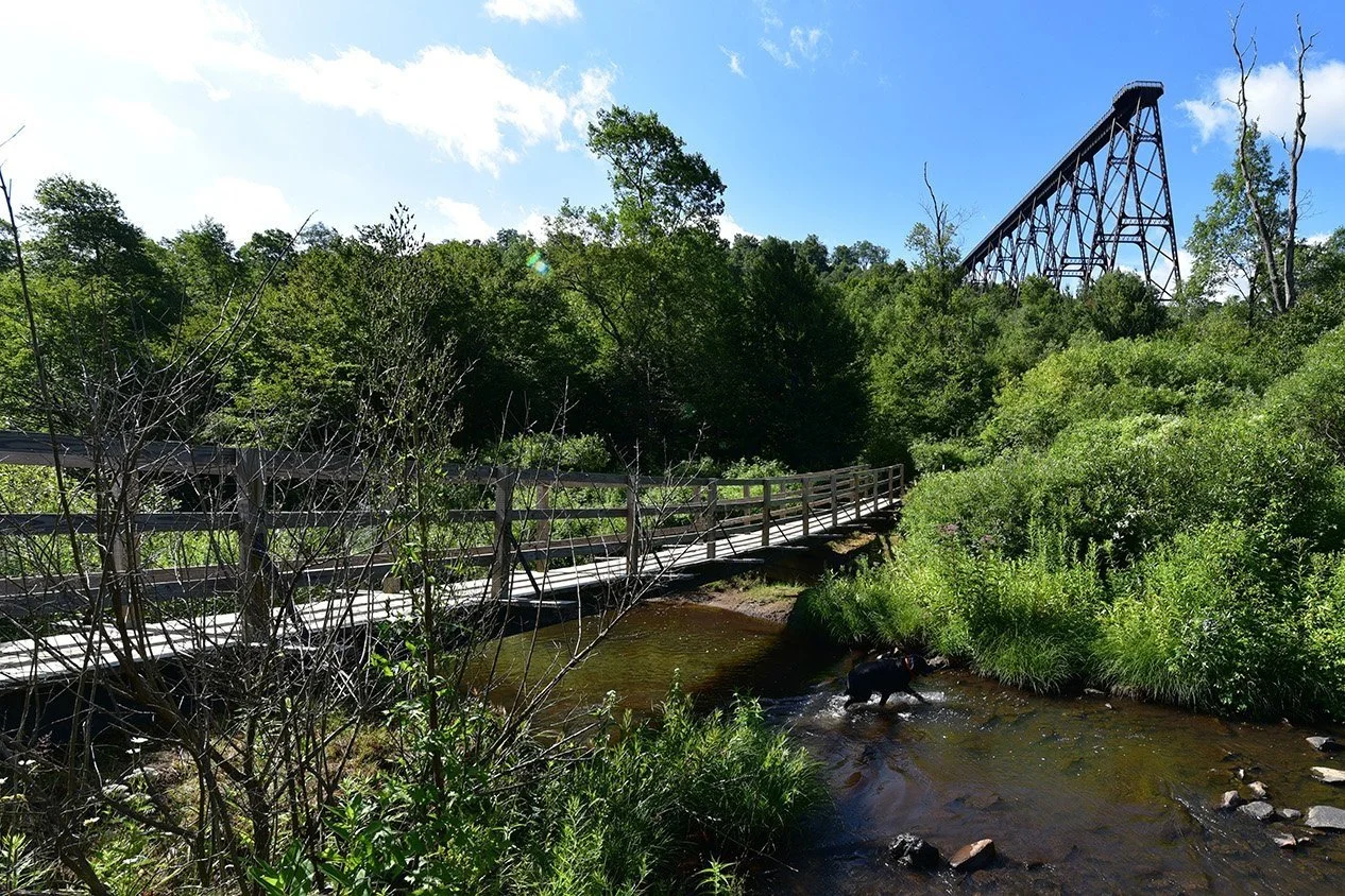 Allegheny National Forest