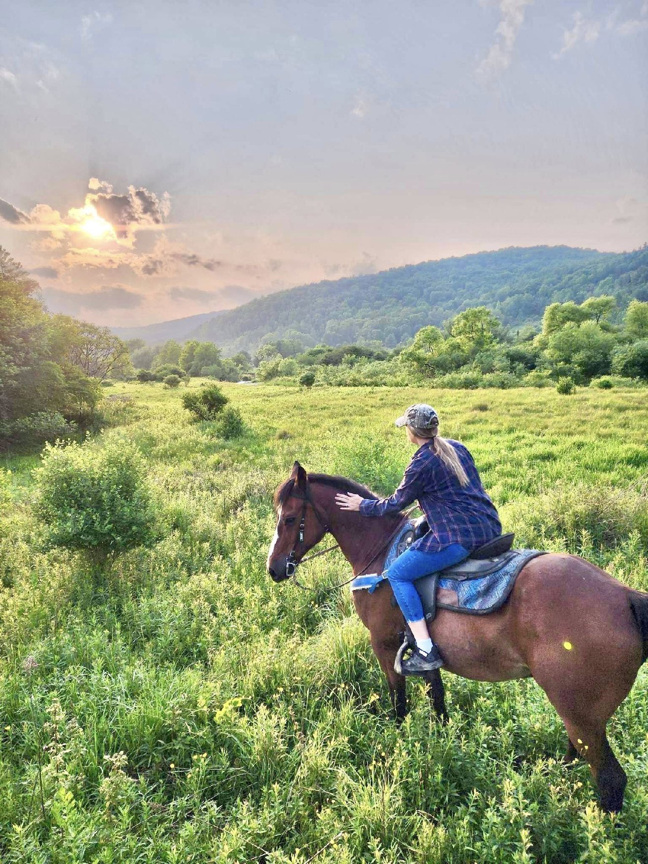 Whisper Mountain Ranch Offers Horseback Adventures and Healing Trails ...
