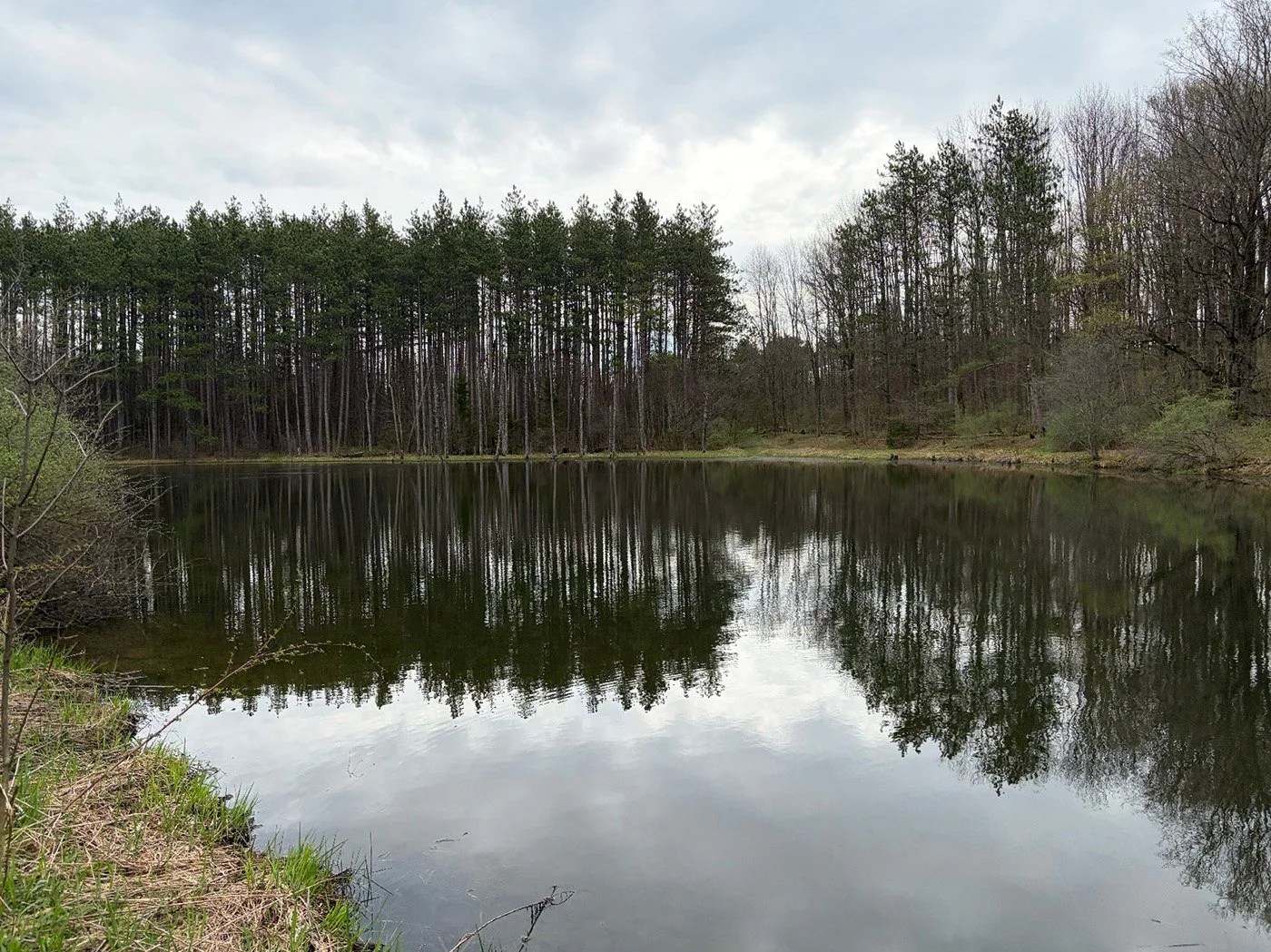 Finger Lakes Trail County Hike Series Comes to Cattaraugus County in ...