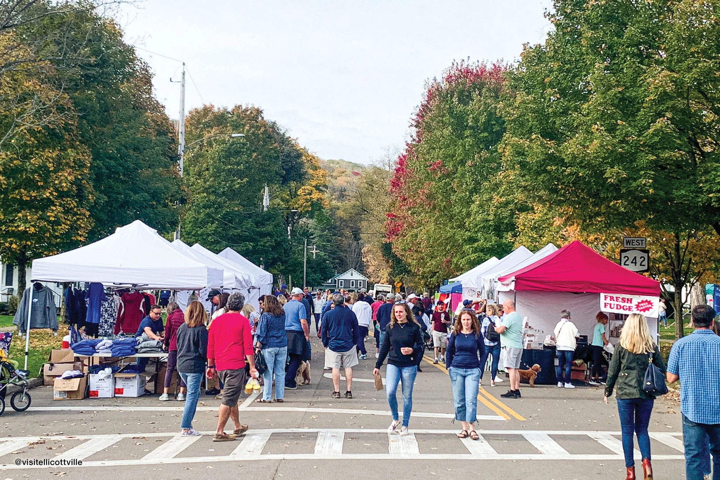 Letter to the Publisher: Fall Fest Rules — Ellicottville Now