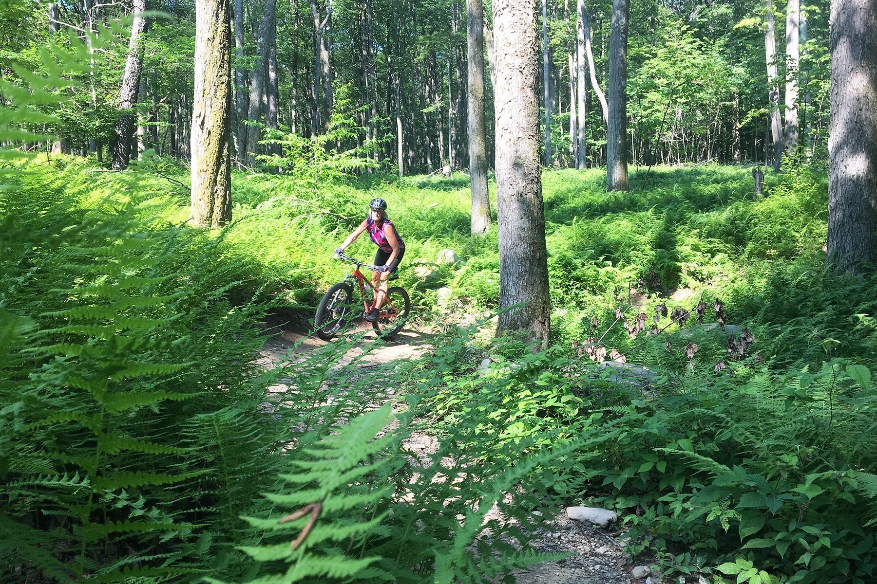 EXPLORE PA : Trails in the ANF — Ellicottville Now