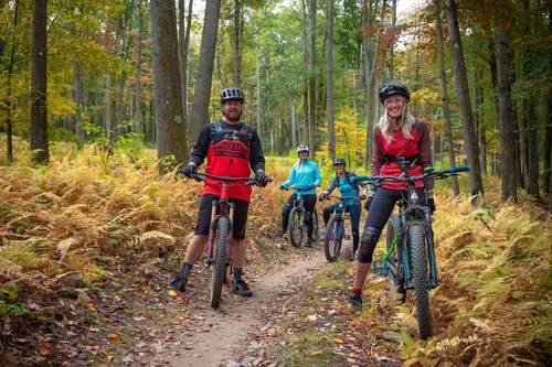 Fall Fun in the Allegheny National Forest — Ellicottville Now