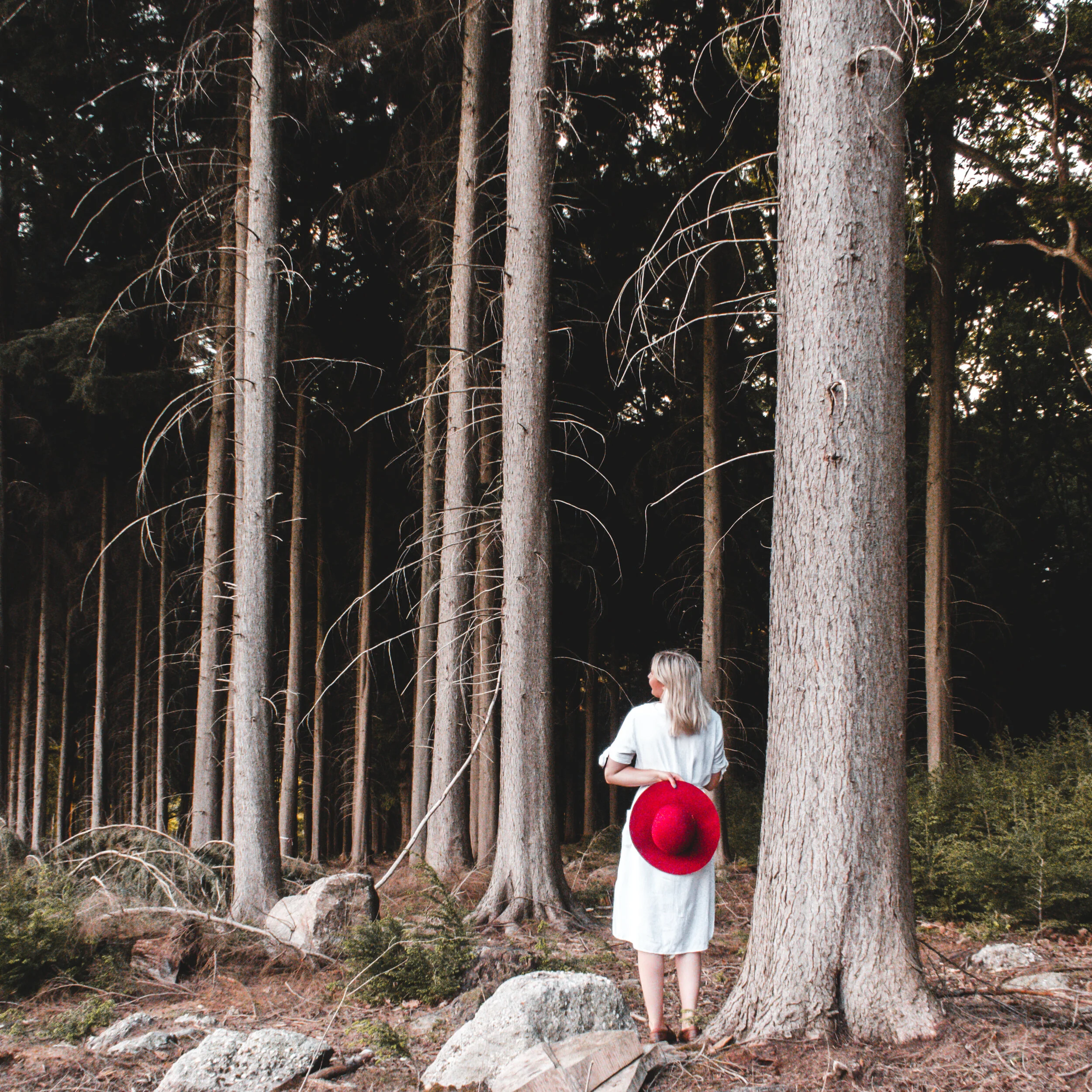 About | Rural Lifestyle Commercial Photography | Evie Lewis Photography ...