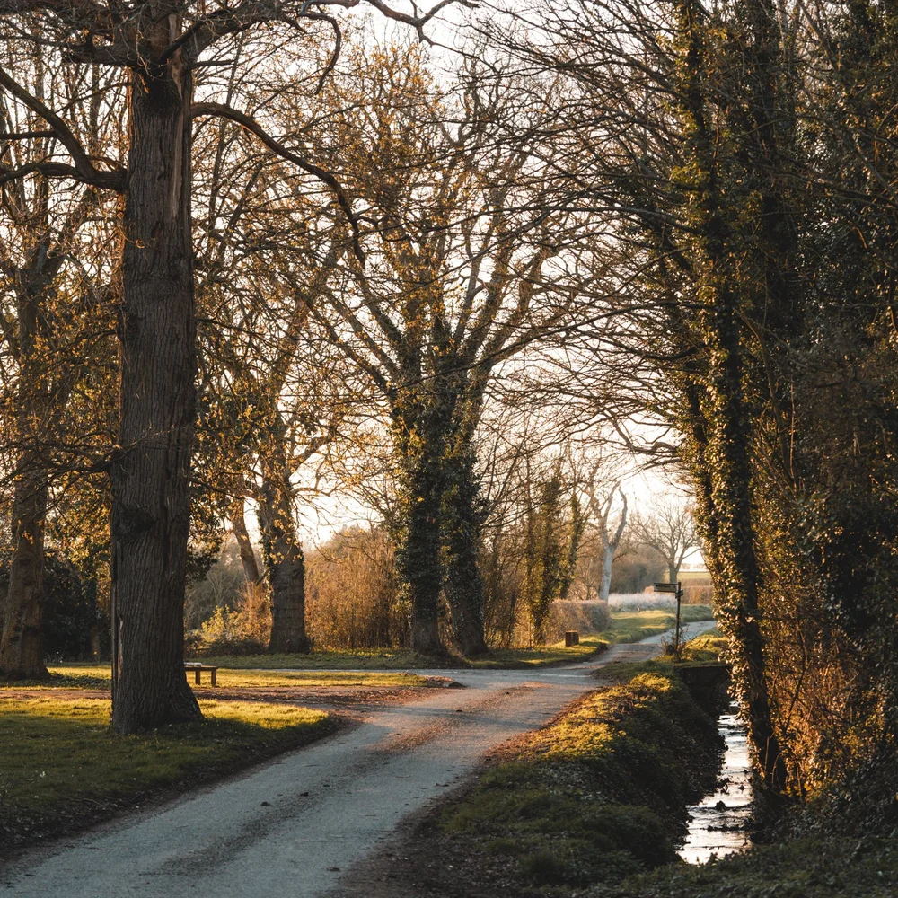 About | Rural Lifestyle Commercial Photography | Evie Lewis Photography ...