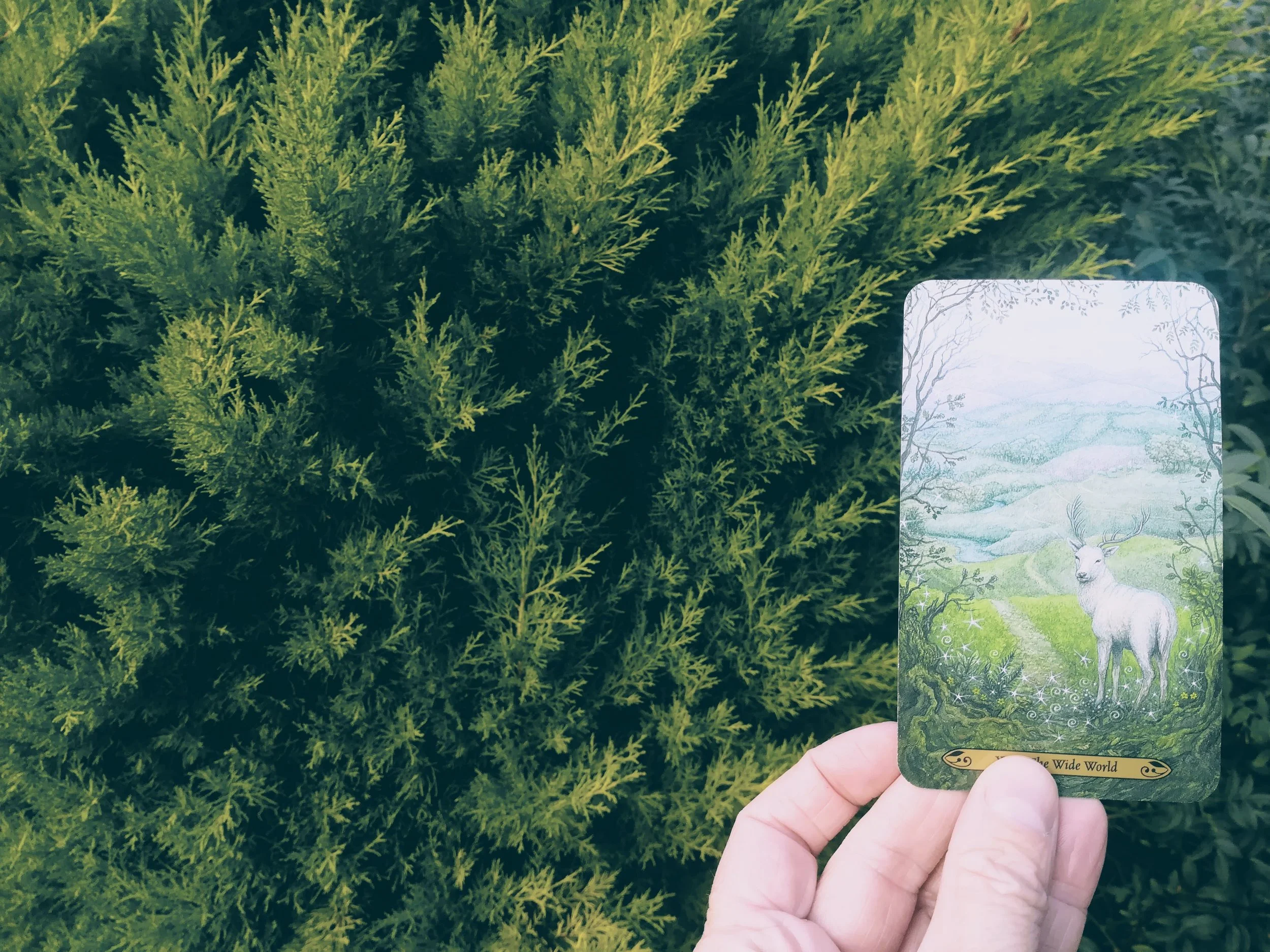 Green Temple Therapy