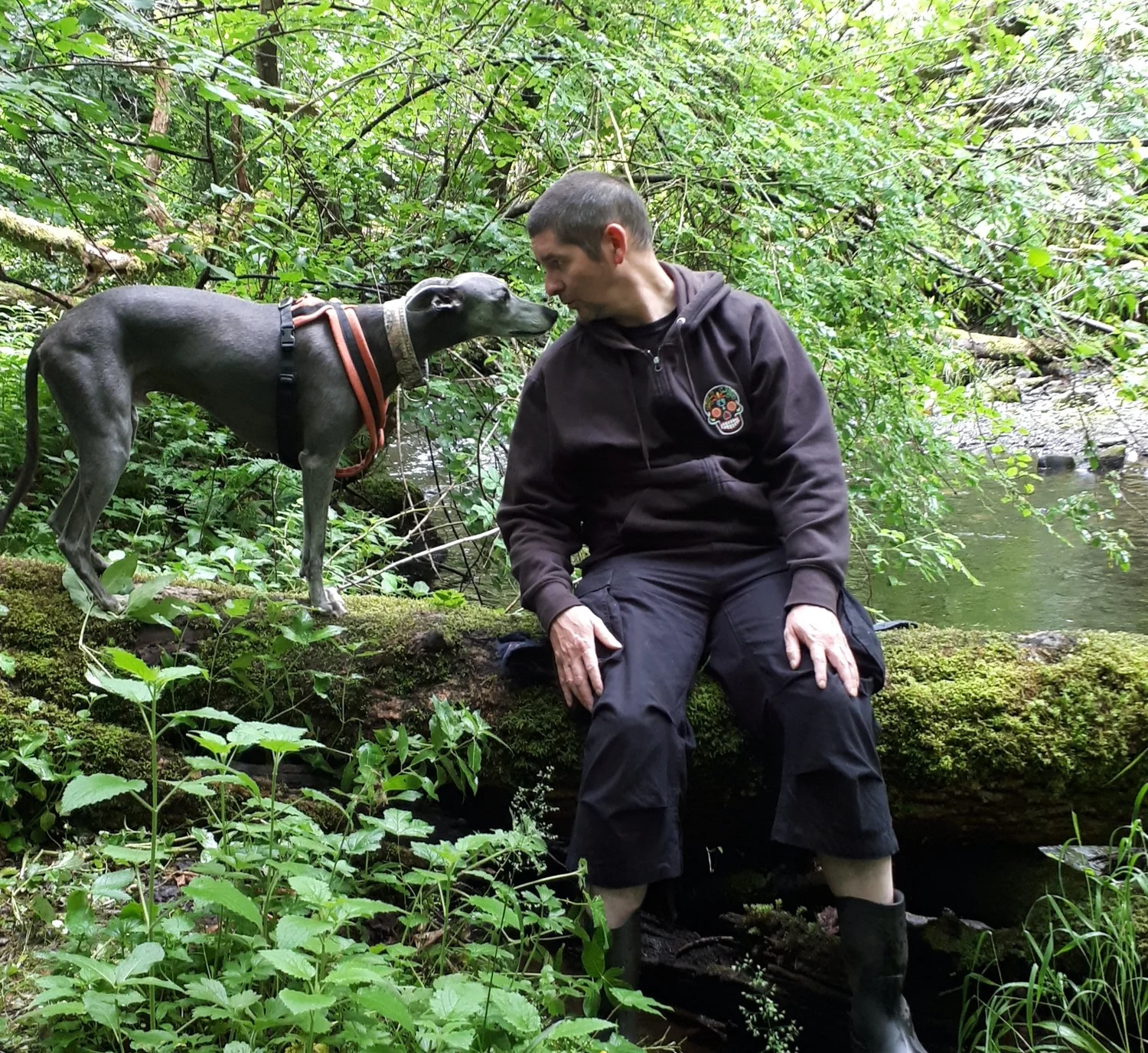 Green Temple Therapy