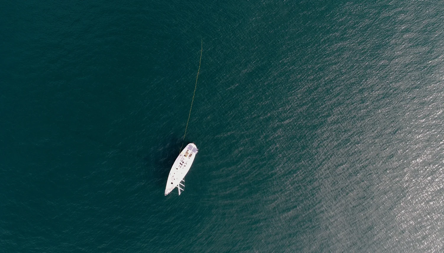 About 3 — Rozalia Project