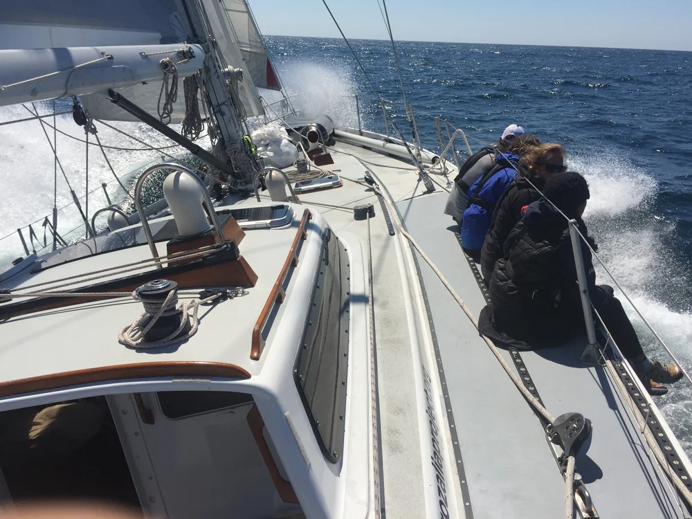 General 1 — Rozalia Project