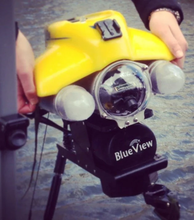 About 3 — Rozalia Project