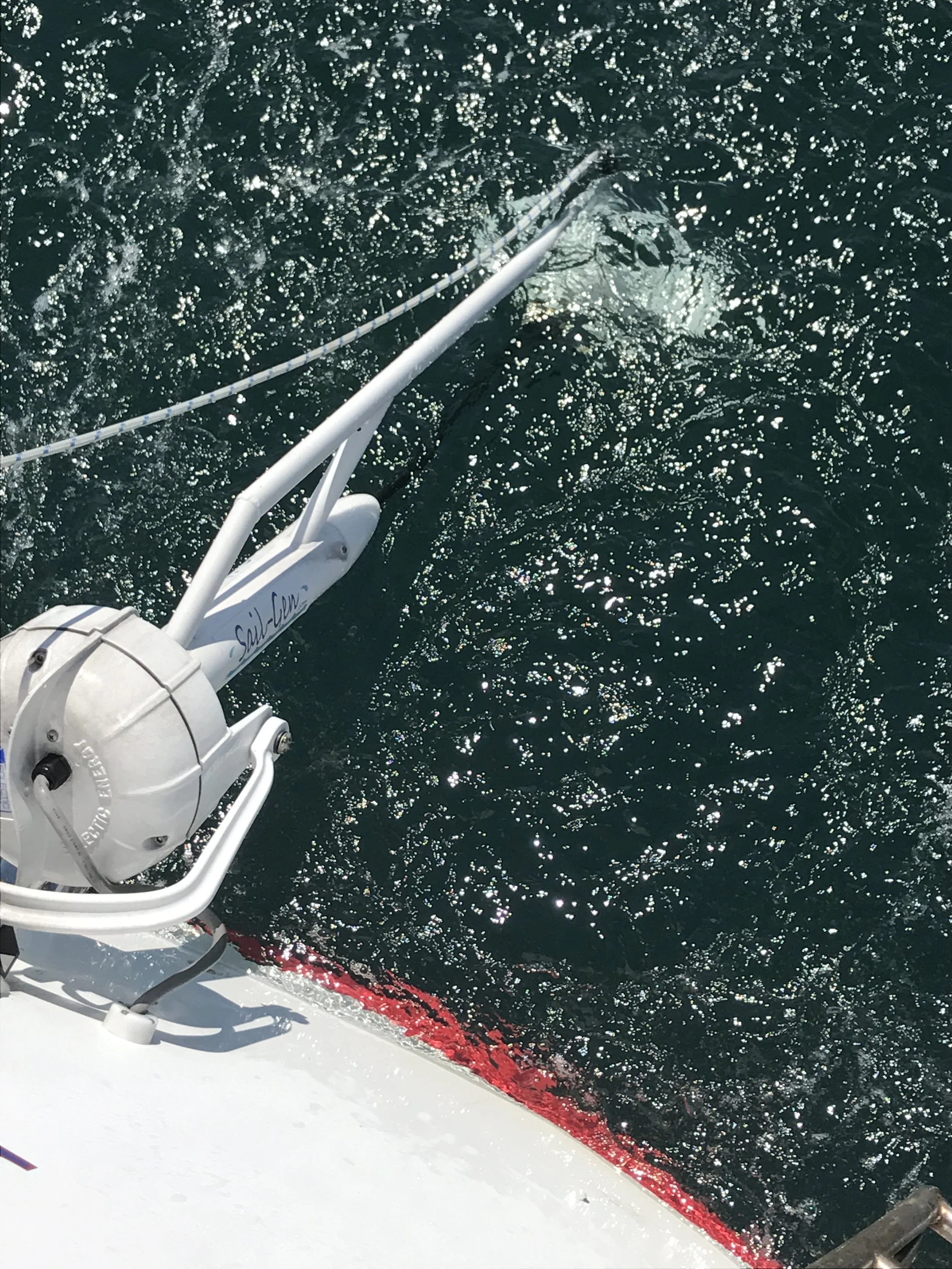 About 2 — Rozalia Project