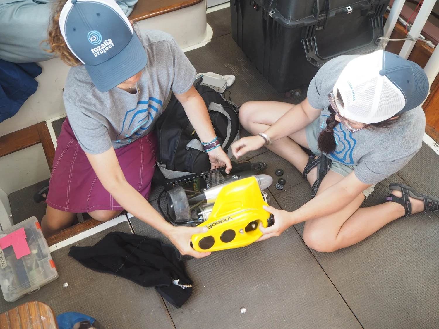 About 3 — Rozalia Project