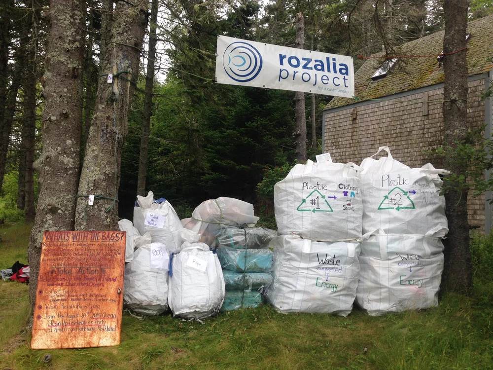 About 4 — Rozalia Project