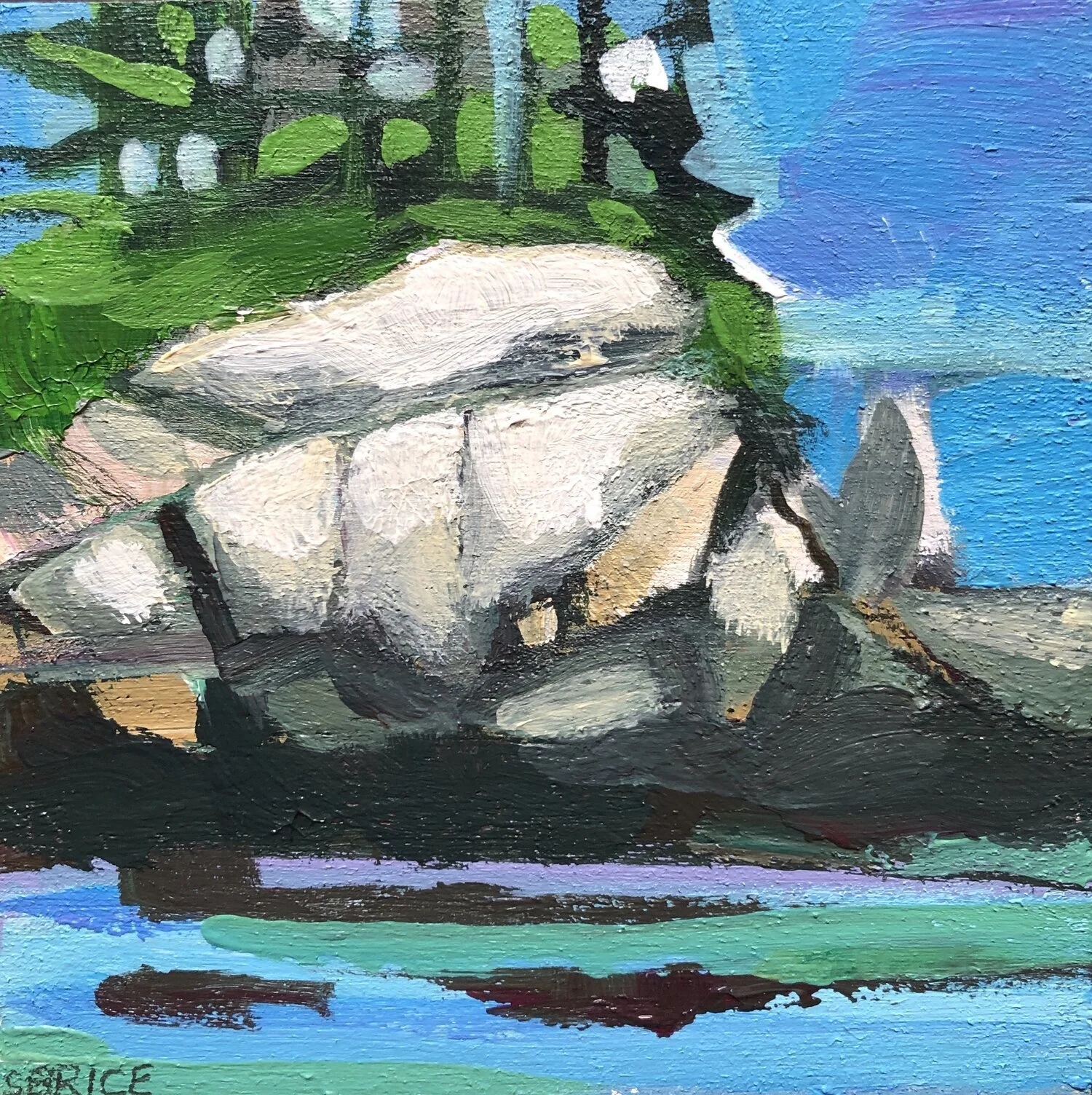 Gallery — Susan Bartlett Rice Studio