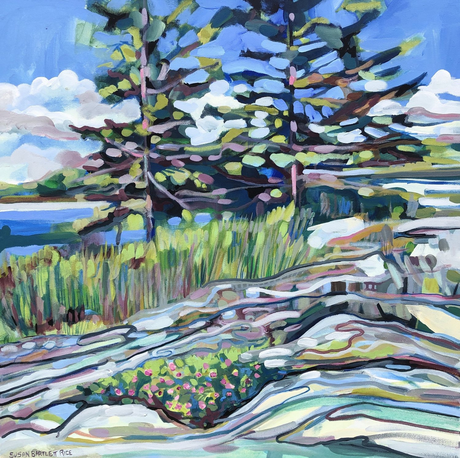Gallery — Susan Bartlett Rice Studio