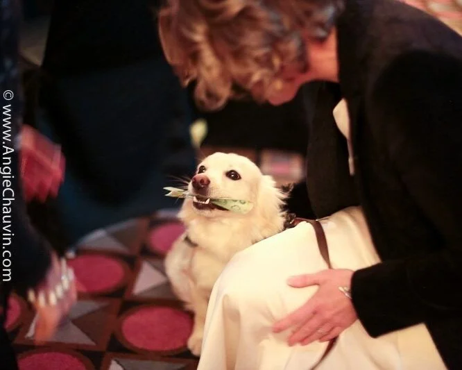 The Windsor/Essex County Humane Society