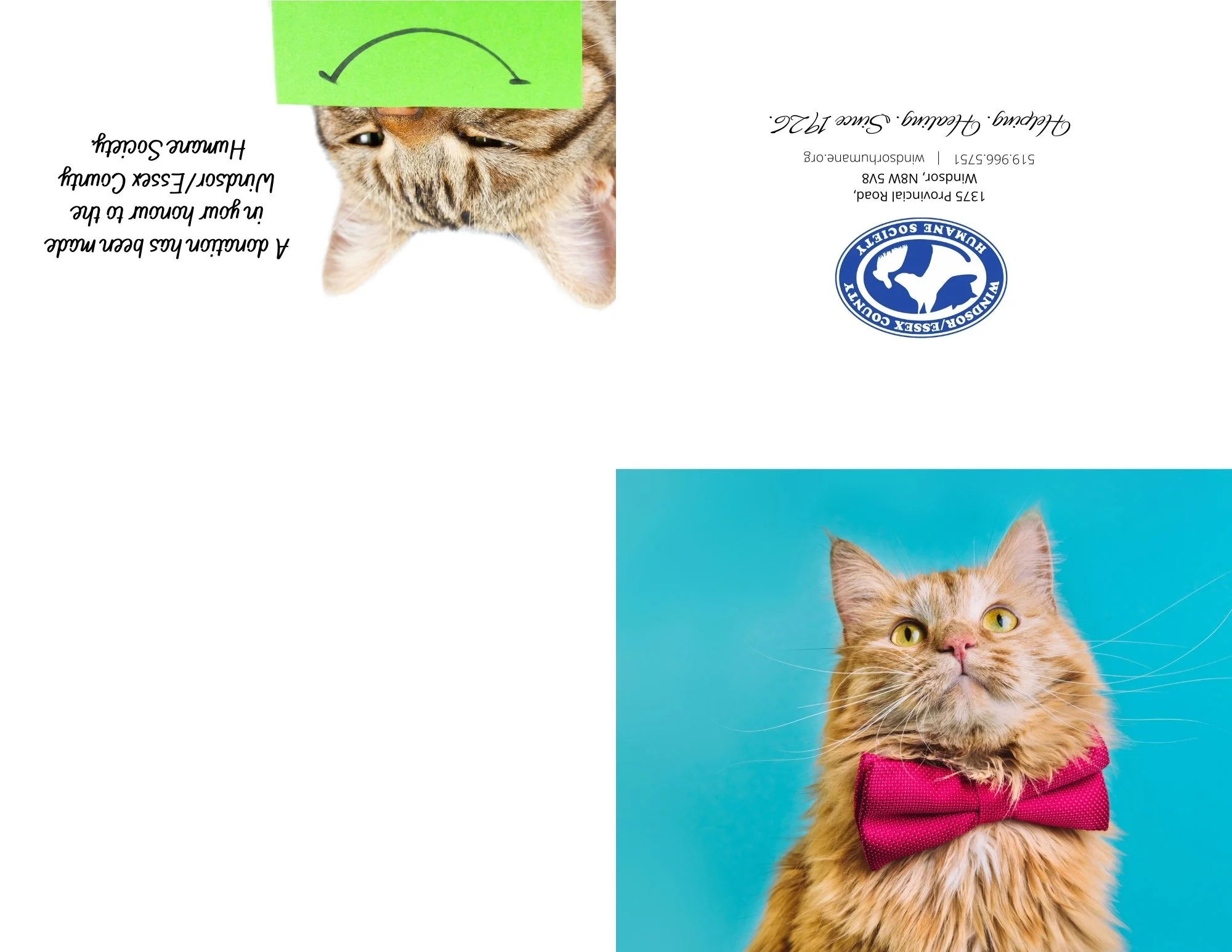 General 2 — The Windsor/Essex County Humane Society