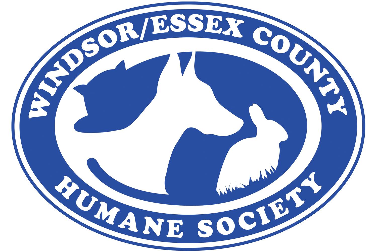 Dog Days Of Summer The Windsor Essex County Humane Society dog-days-of-summer-the-windsor-essex-county-humane-society