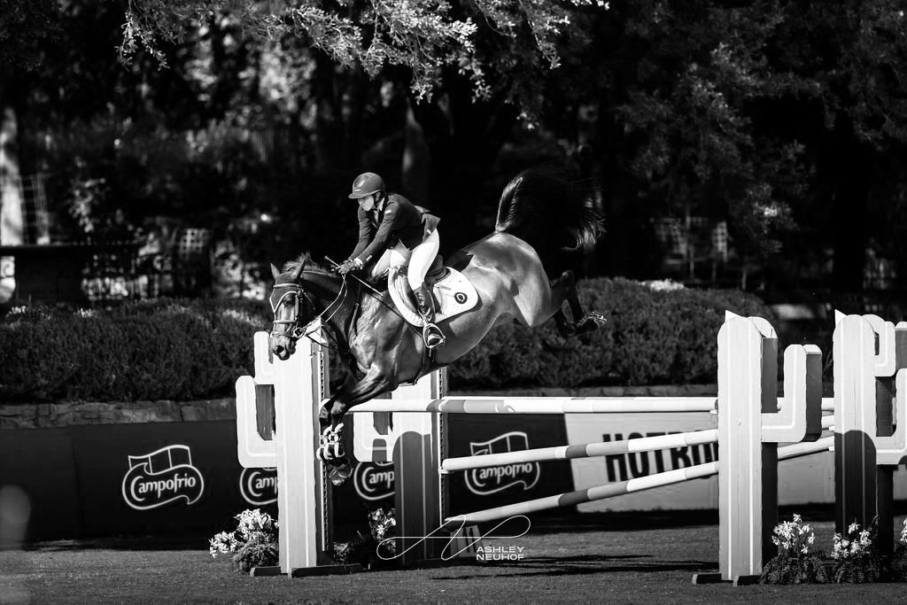 Partners — Nicolette Hirt