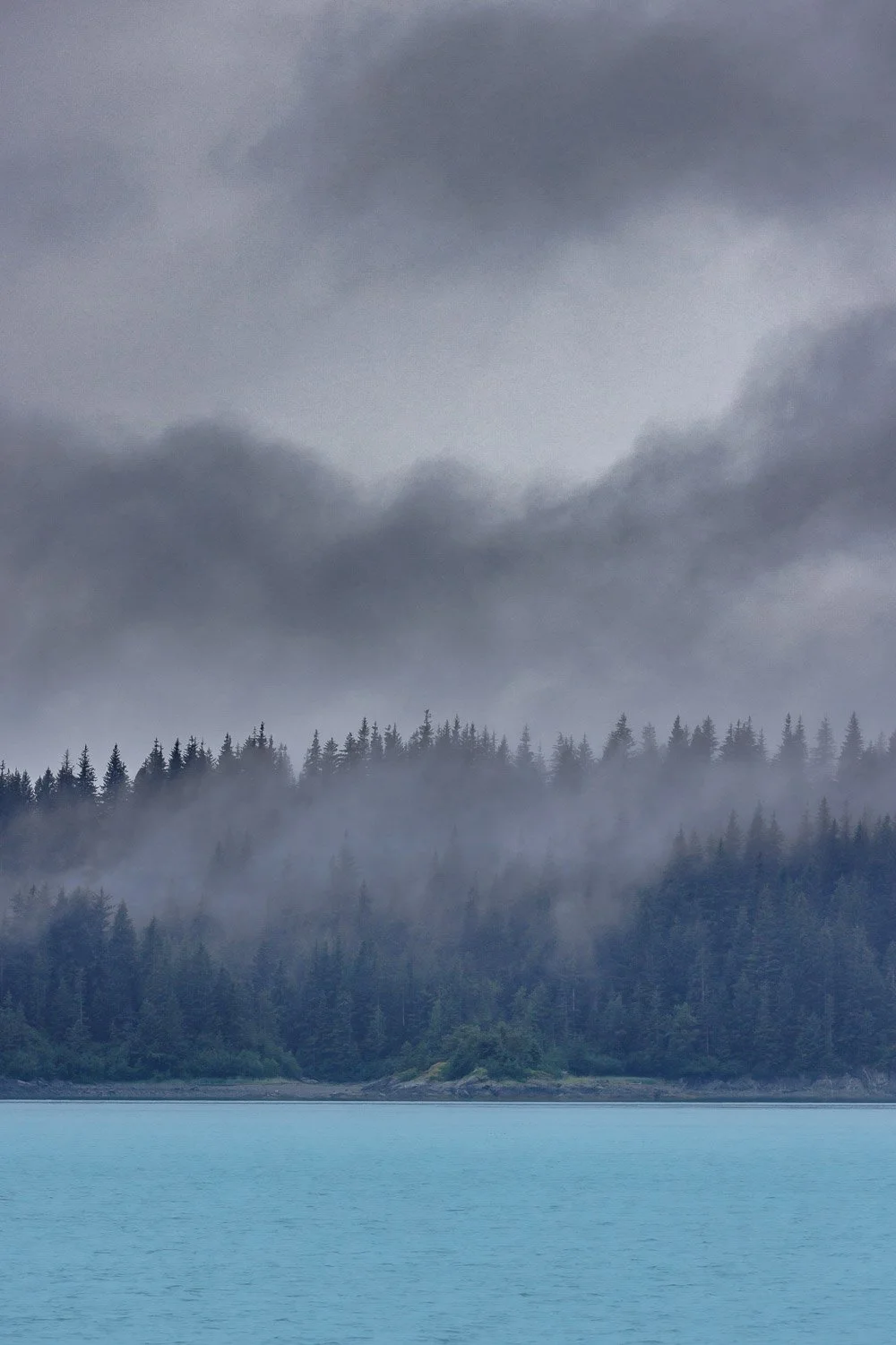 john d'onofrio — Colophon Cafe serving soups, salads, sandwiches, pot ...