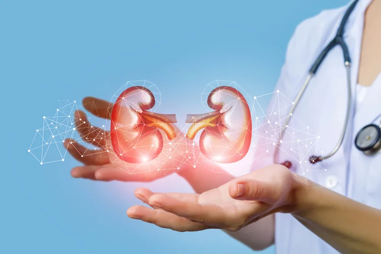 Nephrology | Discover Quality Care — University Clinical Health