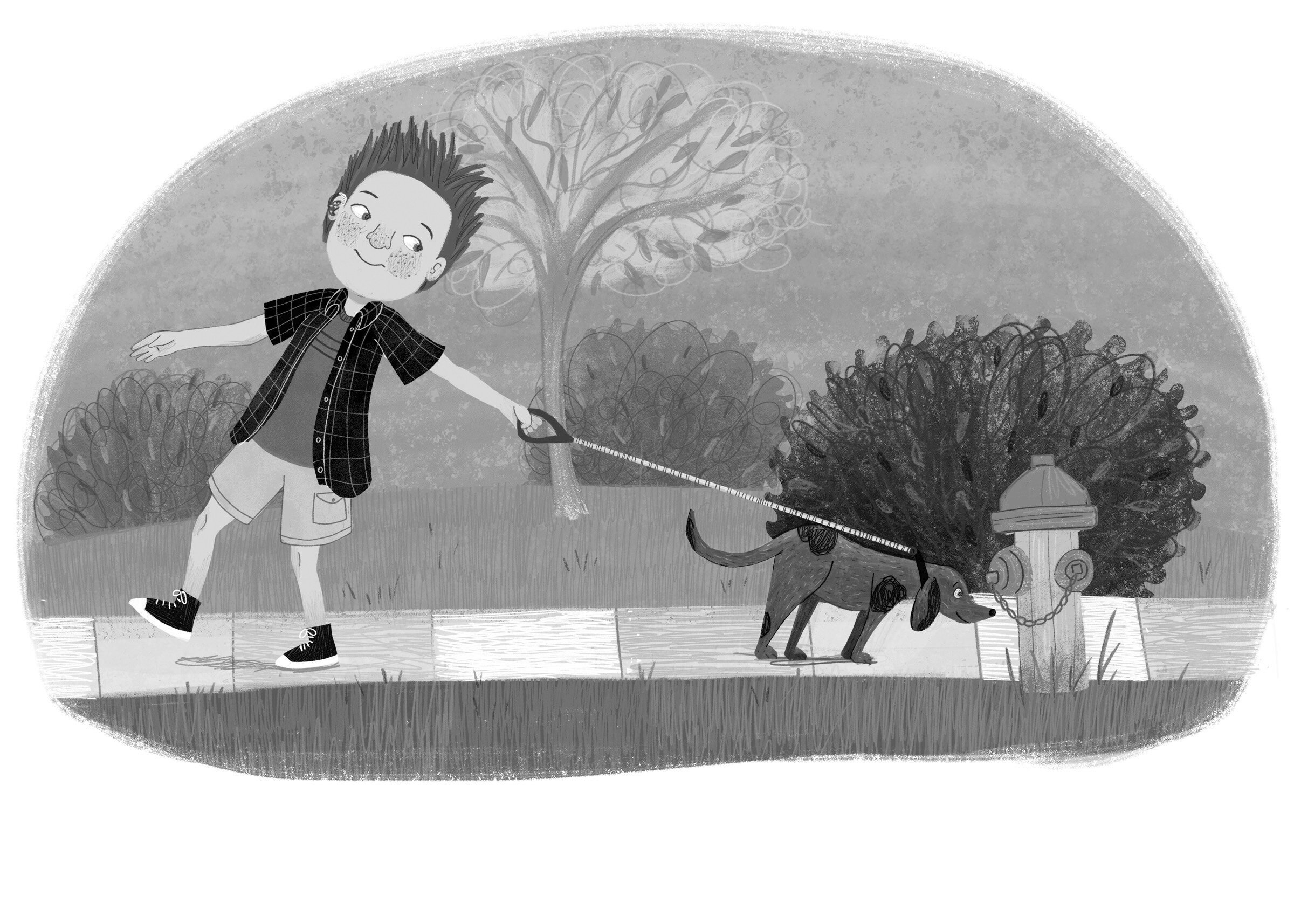 Black and White — Katie Mazeika Illustration